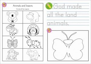 Sunday School Creation Animals - In My World