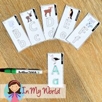 Polar Animals Preschool Centers - In My World