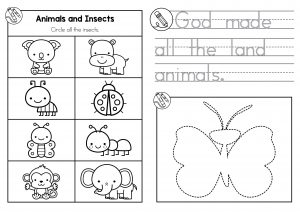 Sunday School Creation: Day 6 Animals - In My World
