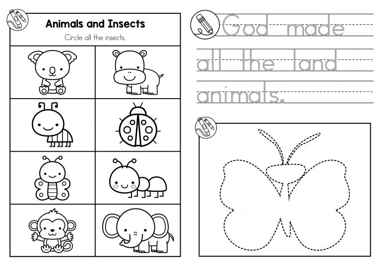 Sunday School Lesson 6 | Day 6 of Creation: Land Animals - In My World